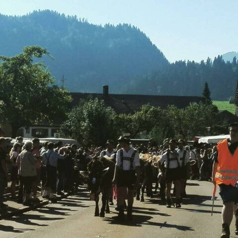 Viehscheid Obermaiselstein am 20. September 2025 - Almabtrieb